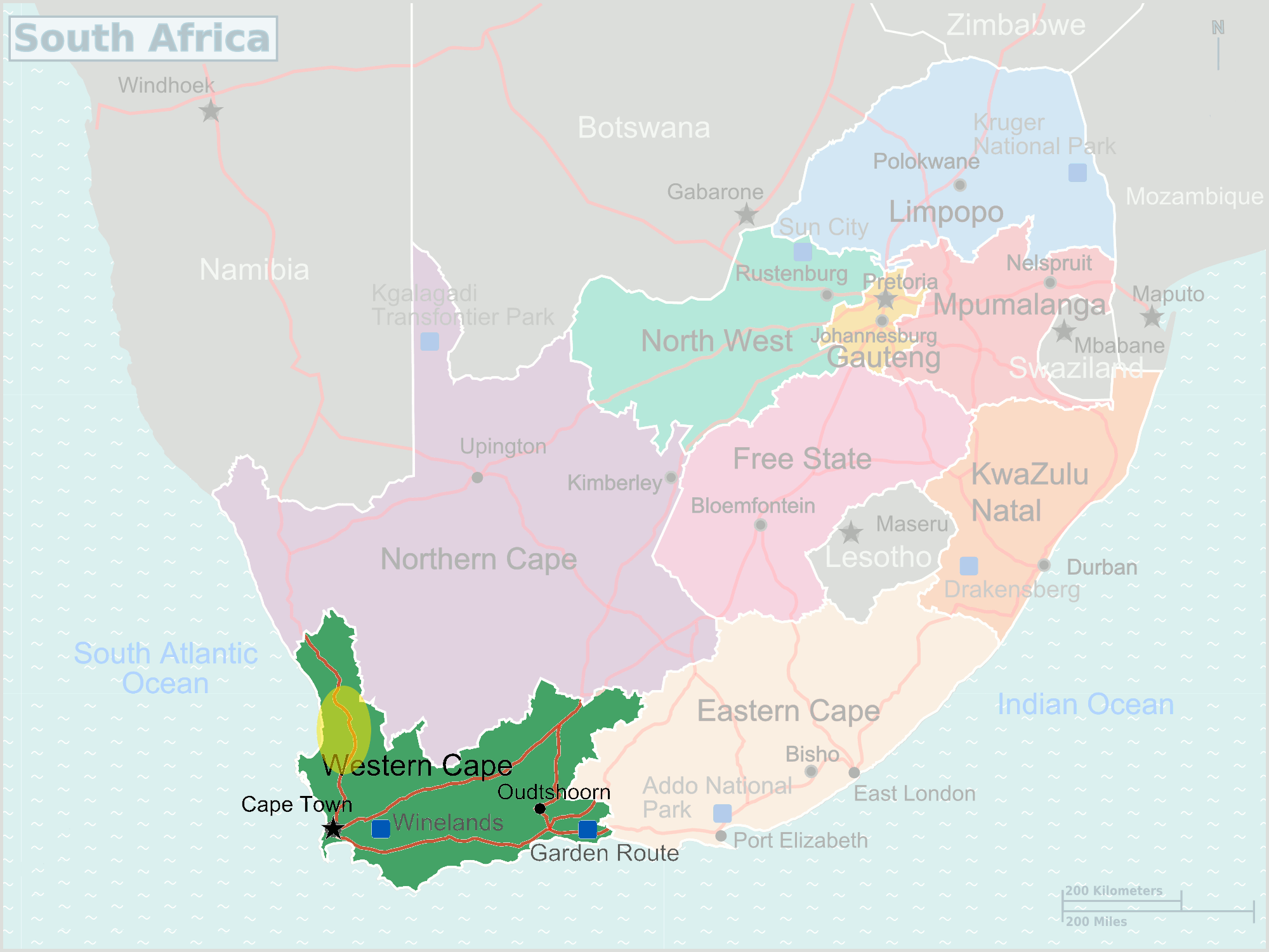 Rooibos: A South African Specialty - Dominion Tea